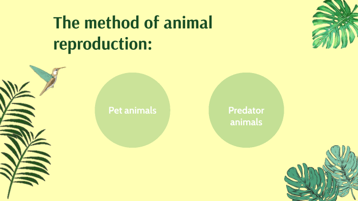 The method of animal reproduction. by Ashjan Sulaiman on Prezi