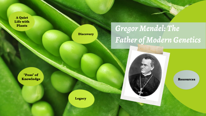 The Father of Genetics: Gregor Mendel by Diana Vargas [Lied STEM ...
