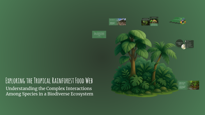 Exploring the Tropical Rainforest Food Web by Jezreel Santos on Prezi
