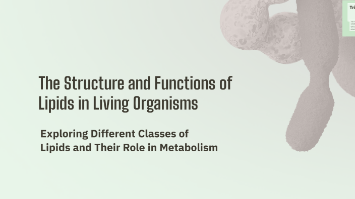 The Structure and Functions of Lipids in Living Organisms by colleen on ...