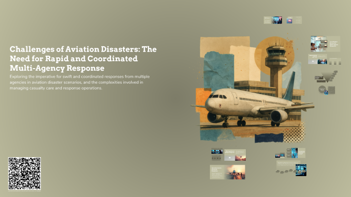 Challenges of Aviation Disasters: The Need for Rapid and Coordinated ...