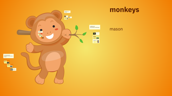 Fascinating World of Monkeys by MASON ROUNTREE on Prezi