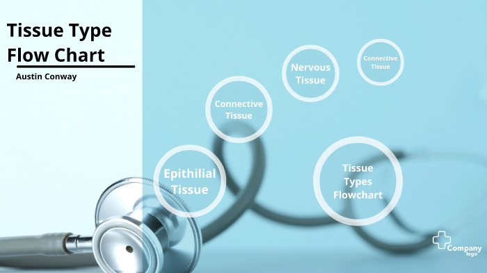 Tissue Flowchart by Austin Co on Prezi