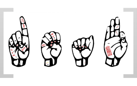 Sentence-Final Pointing Signs in Spontaneous Signing in NGT (Sign ...