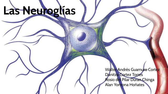 Las Neuroglías by Andres Cortez on Prezi