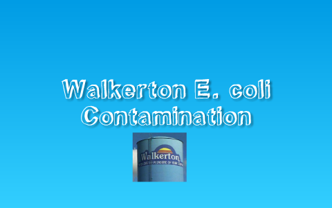 Walkerton E.Coli Contamination by Alisha Morrison on Prezi