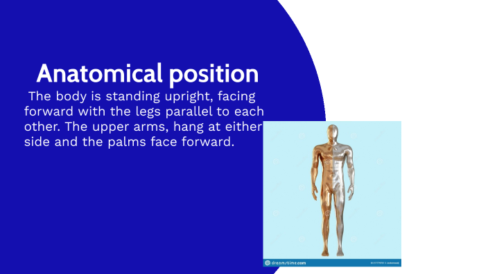 Directional Terms by chidera Anyanwu on Prezi