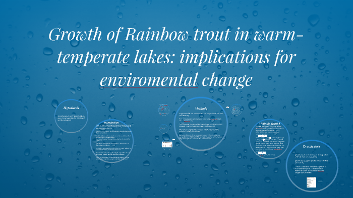 Growth Of Rainbow Trout In Warm temperature Lakes Implicati By Madison 