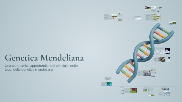 Genetica Mendeliana by marco pezzetti on Prezi