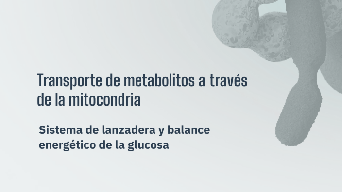 Tema 25 by Maria del Rocio Garcia Amuedo on Prezi