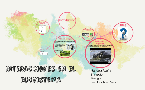 Interacciones en el ecosistema by Manuela Isidora Acuña Kuschel on Prezi