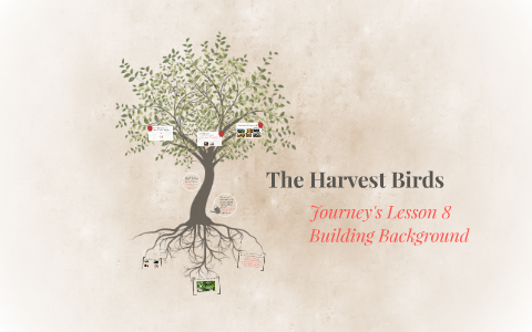 The Harvest Birds by Nicole Nichter on Prezi