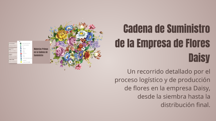 Cadena de Suministro de la Empresa de Flores Daisy by Milu Sepulveda on ...