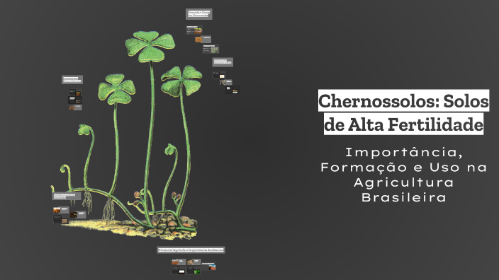 Chernossolos: Características e Importância by Maria Eduarda Fuzinatto ...
