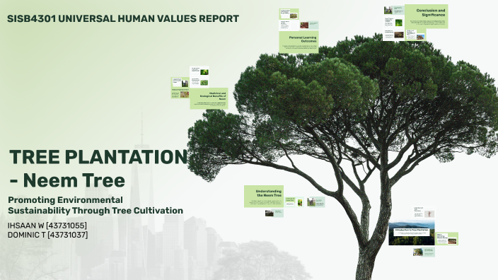 TREE PLANTATION - Neem Tree by Dominic T on Prezi