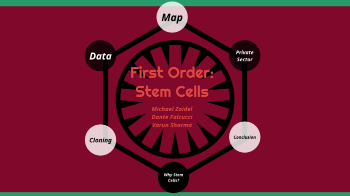 Stem Cell Project by Michael Zaidel on Prezi