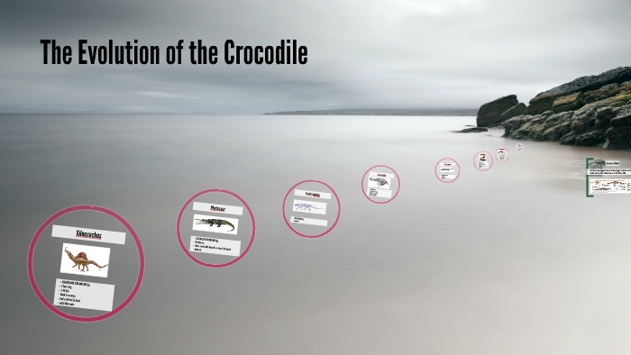 The Evolution of the Crocodile by Tawna Peters on Prezi