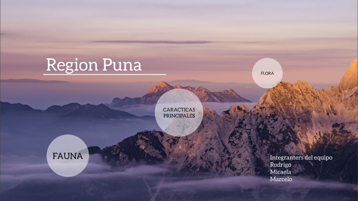 Región Puna del Peru by Erlic Marcelo Jordan Ccucho on Prezi