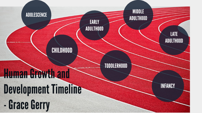 Human Growth and Development Timeline by Grace Gerry on Prezi