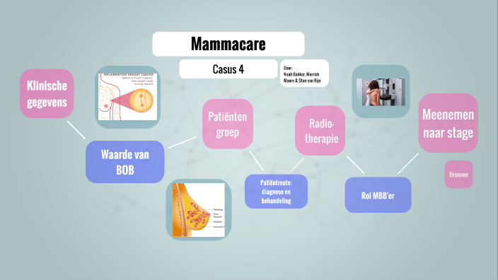 Mammacare Noah, Merrick, Stan by Noah Bakker on Prezi
