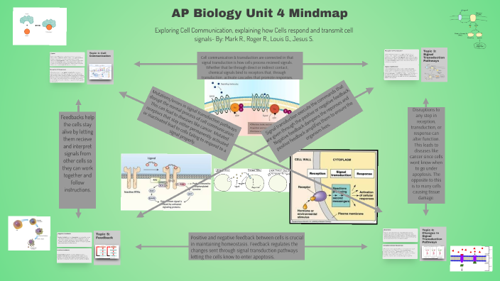 AP Biology Unit 4 Mindmap by Louis Gurrola on Prezi