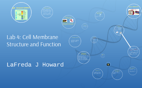 Lab 4: Cell Membrane Structure and Function by LaFreda Howard on Prezi
