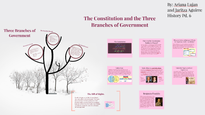 The Constitution and the Three Branches of Government by A L on Prezi