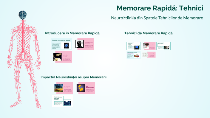 memorare rapida tehnici by Daniela Mera on Prezi