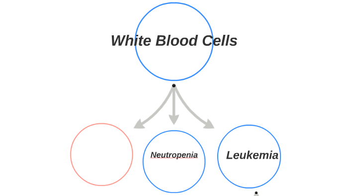 Fill In Heme disorder concept map by Shanda Demorest on Prezi