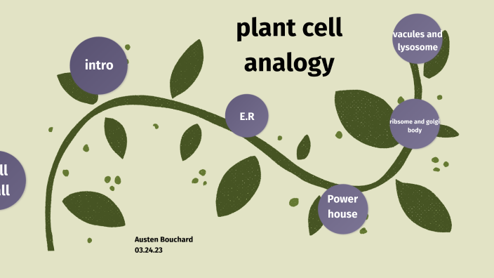 Plant cell Analogy by aust9011 aust9011 on Prezi