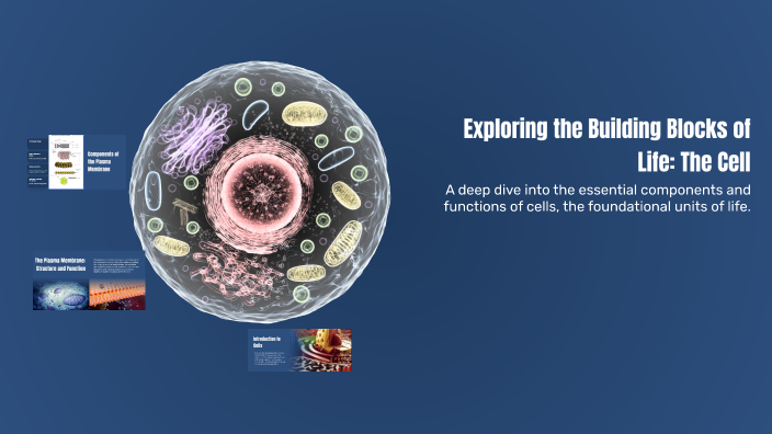 Exploring the Building Blocks of Life: The Cell by Belal on Prezi