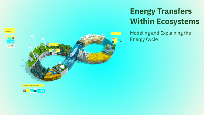 Energy Transfers Within Ecosystems by Kristen Holliday on Prezi