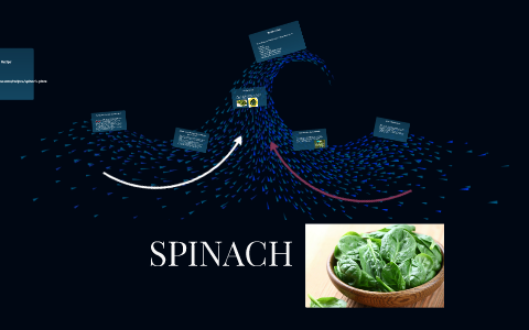 SPINACH by Christian Graca on Prezi