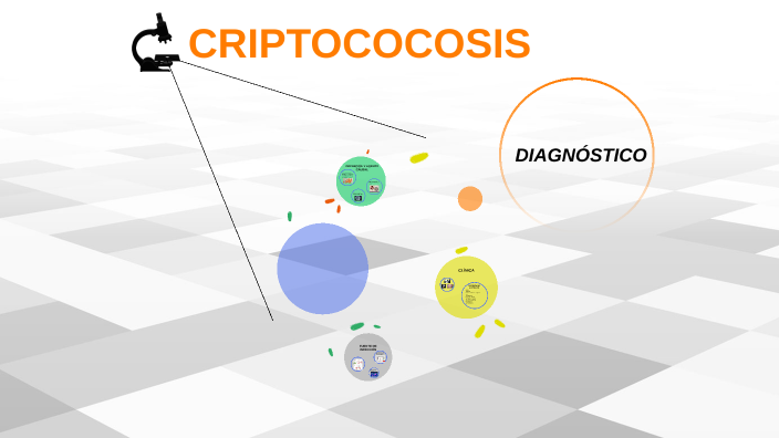 criptococosis by Elisabeth Rodriguez Franco on Prezi