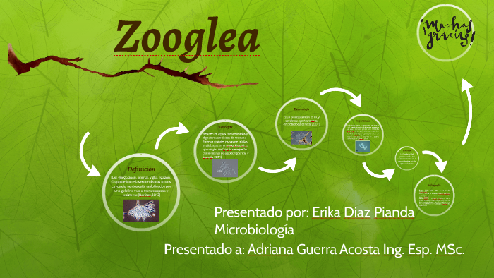 ZOOGLEA by edgar Ruiz Melendez on Prezi
