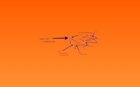 Flower Concept Map by Sarah Beaman on Prezi