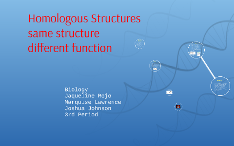 Homologous Structures same structure, different function by on Prezi
