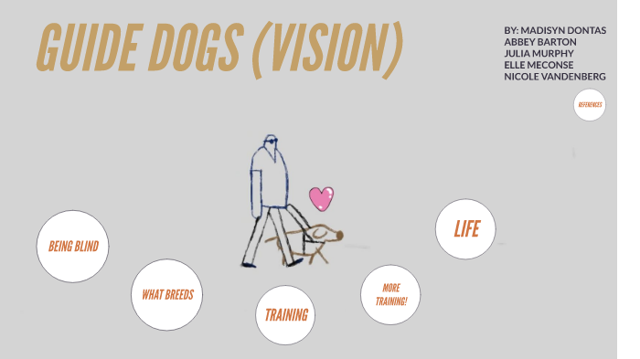 Guide Dogs (Vision) by Dog Guides Group on Prezi