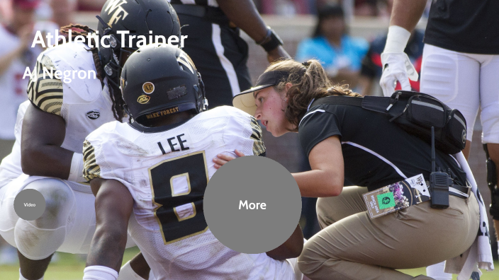 AVID Career Research One Pager by Alejandro Negron on Prezi