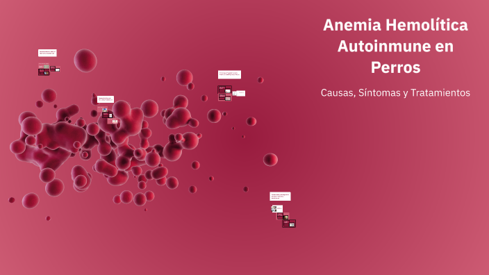 Anemia Hemolítica Autoinmune en Perros by jonathan calabrese on Prezi