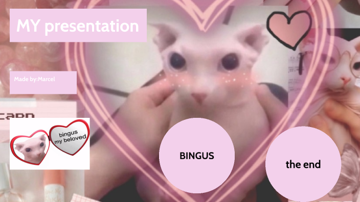 my favorite animal by Marcel Zych on Prezi