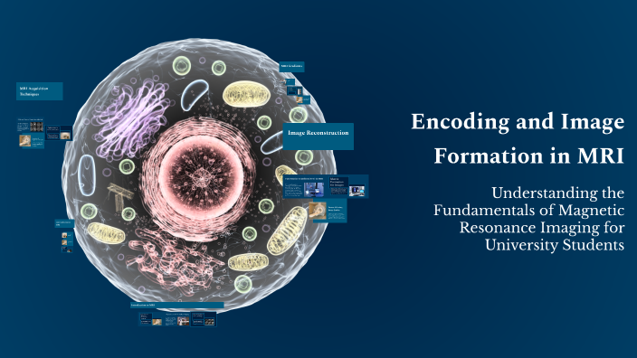 Encoding and Image Formation in MRI by on Prezi