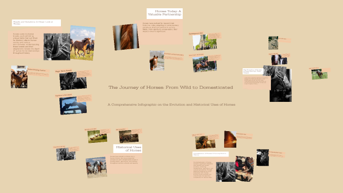 Evolution and Domestication of Horses by Shania Shine on Prezi