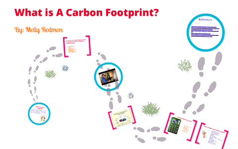 Carbon Footprint by Molly Redmon on Prezi