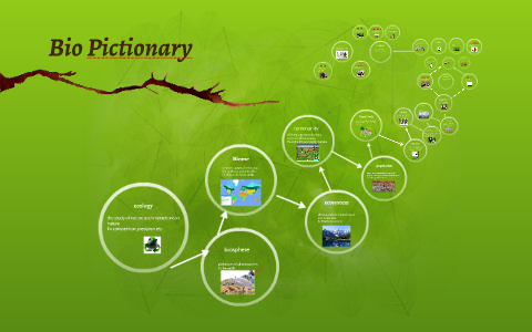 Bio Pictionary by micah hook on Prezi