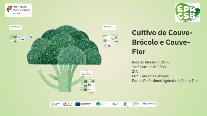 Cultivo de Couve-Brócolo e Couve-Flor by Mailpara Jogos2020 on Prezi