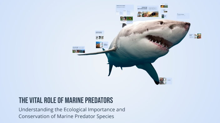 The Vital Role of Marine Predators by roy bazigu on Prezi