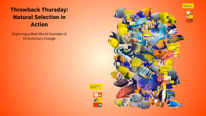 Throwback Thursday: Natural Selection in Action by Ava Gutierrez on Prezi