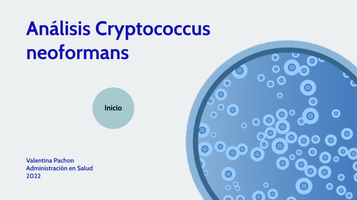 Cryptococcus neoformans by Valentina Pachón on Prezi