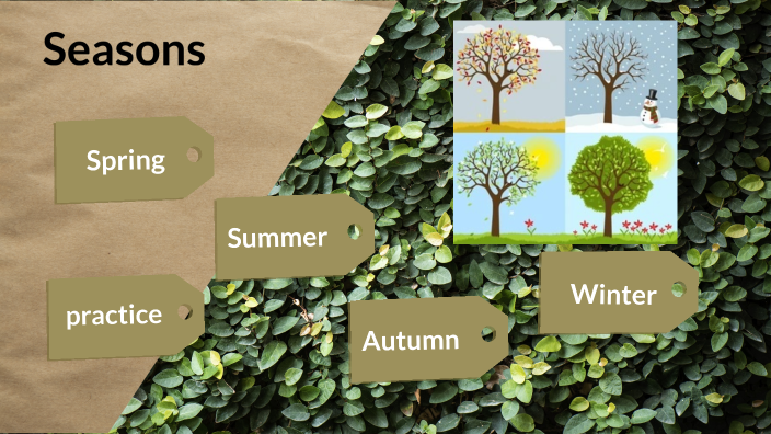 Lesson 2 Seasons by 婕綾 on Prezi